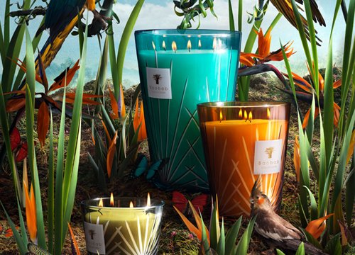 Baobab: candele profumate e diffusori - Decorcasa Shop